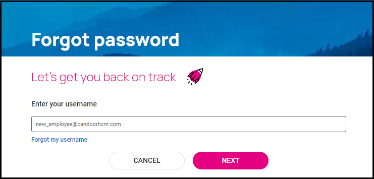 How do I reset my password?